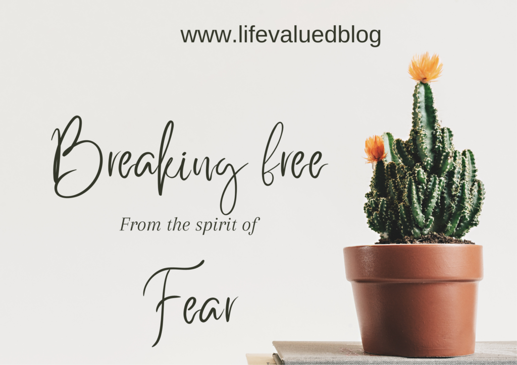 BREAKING FREE FROM FEAR. - LIFE VALUED BLOG