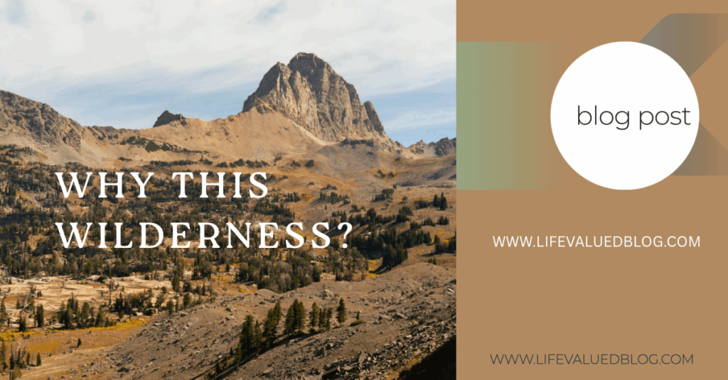 WHY THE WILDERNESS? - LIFE VALUED BLOG